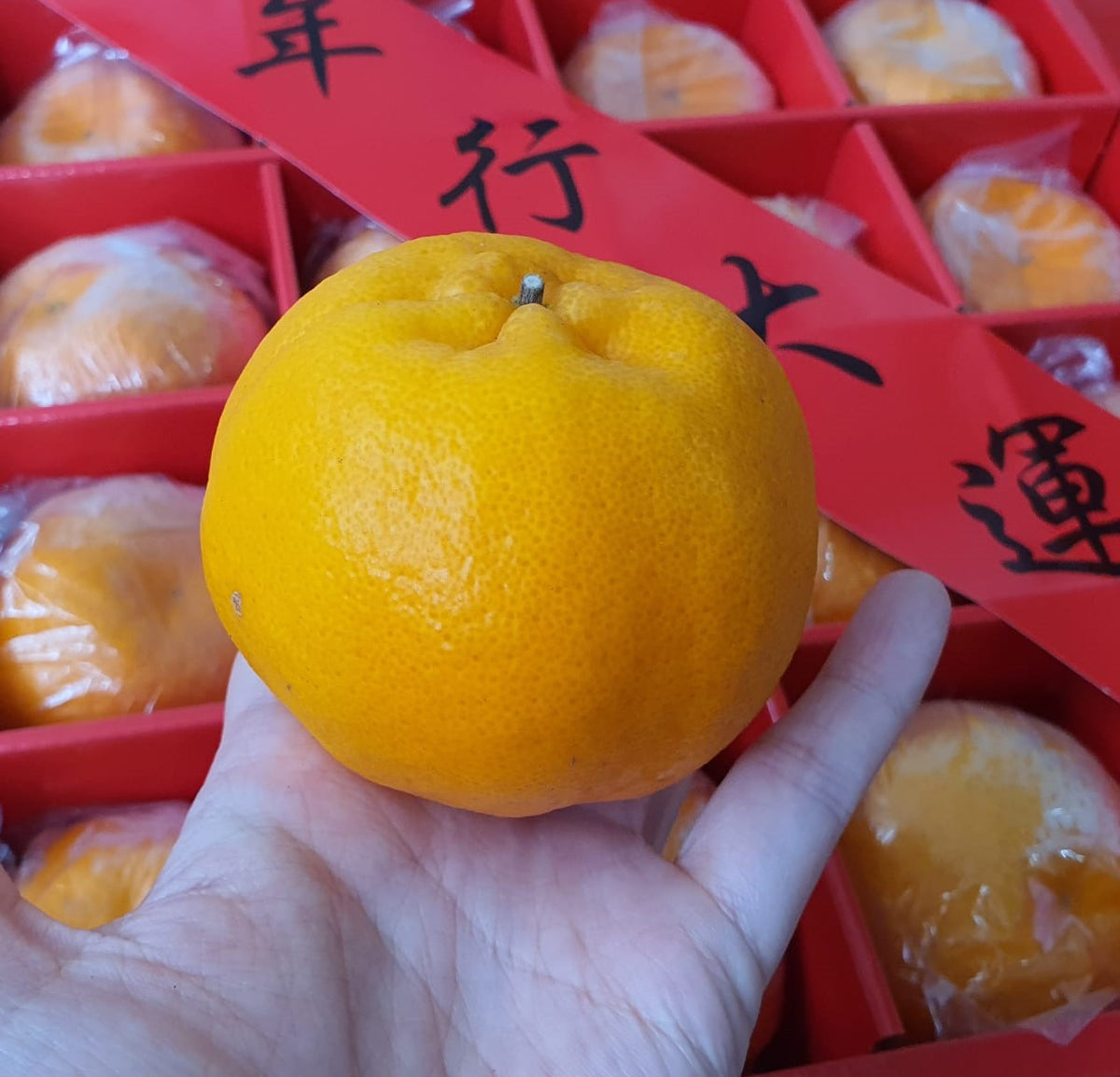 Festive Goodies: 25A Ponkan x 20 pcs (4 KG) – Care Package Singapore ...